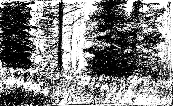 Four Value Studies and Notan - The Landscape Atelier